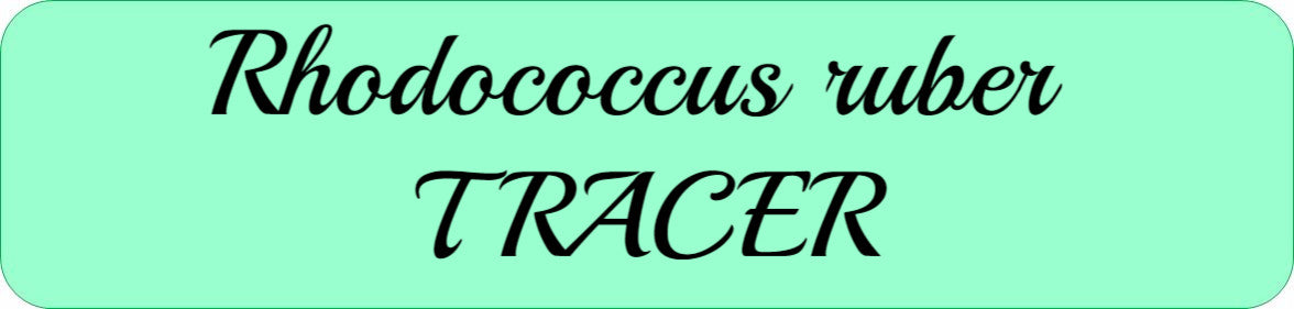 Rhodococcus ruber TRACER – DNATraccia